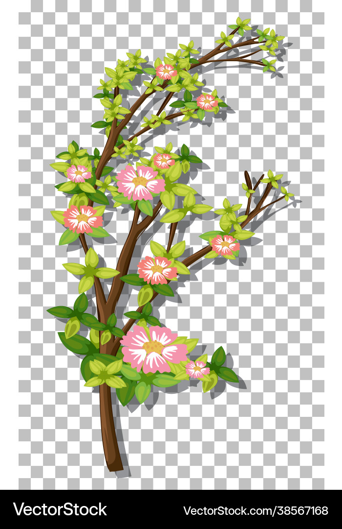 Branch pink flower on transparent background Vector Image