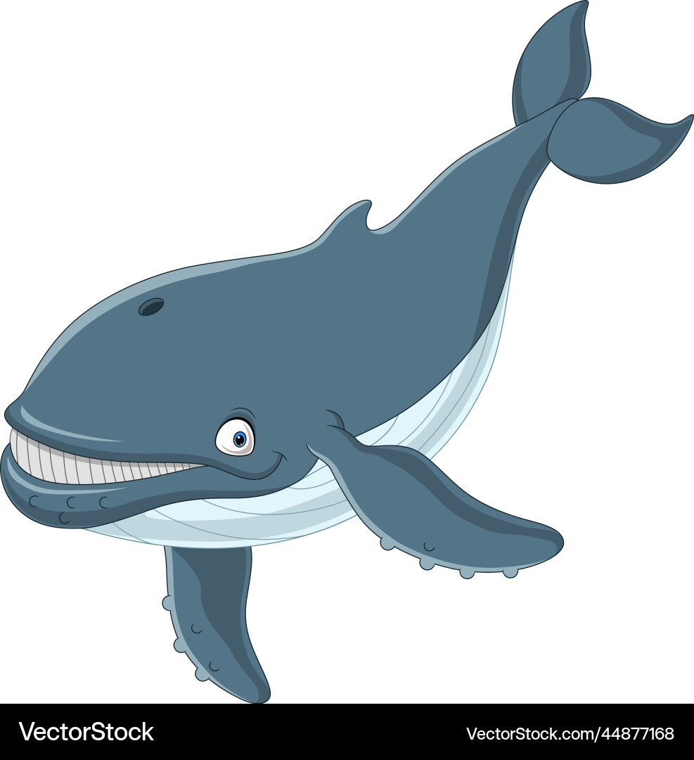 Cartoon whale isolated on white background Vector Image