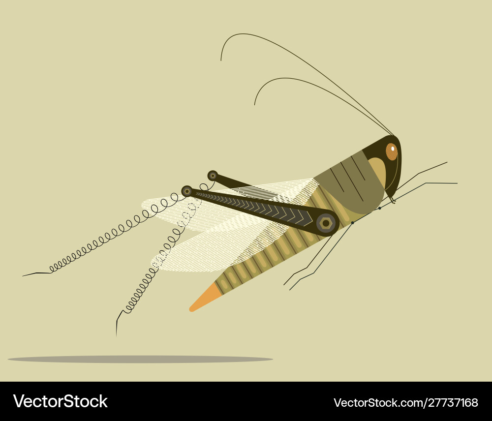 Grasshopper jump Royalty Free Vector Image - VectorStock