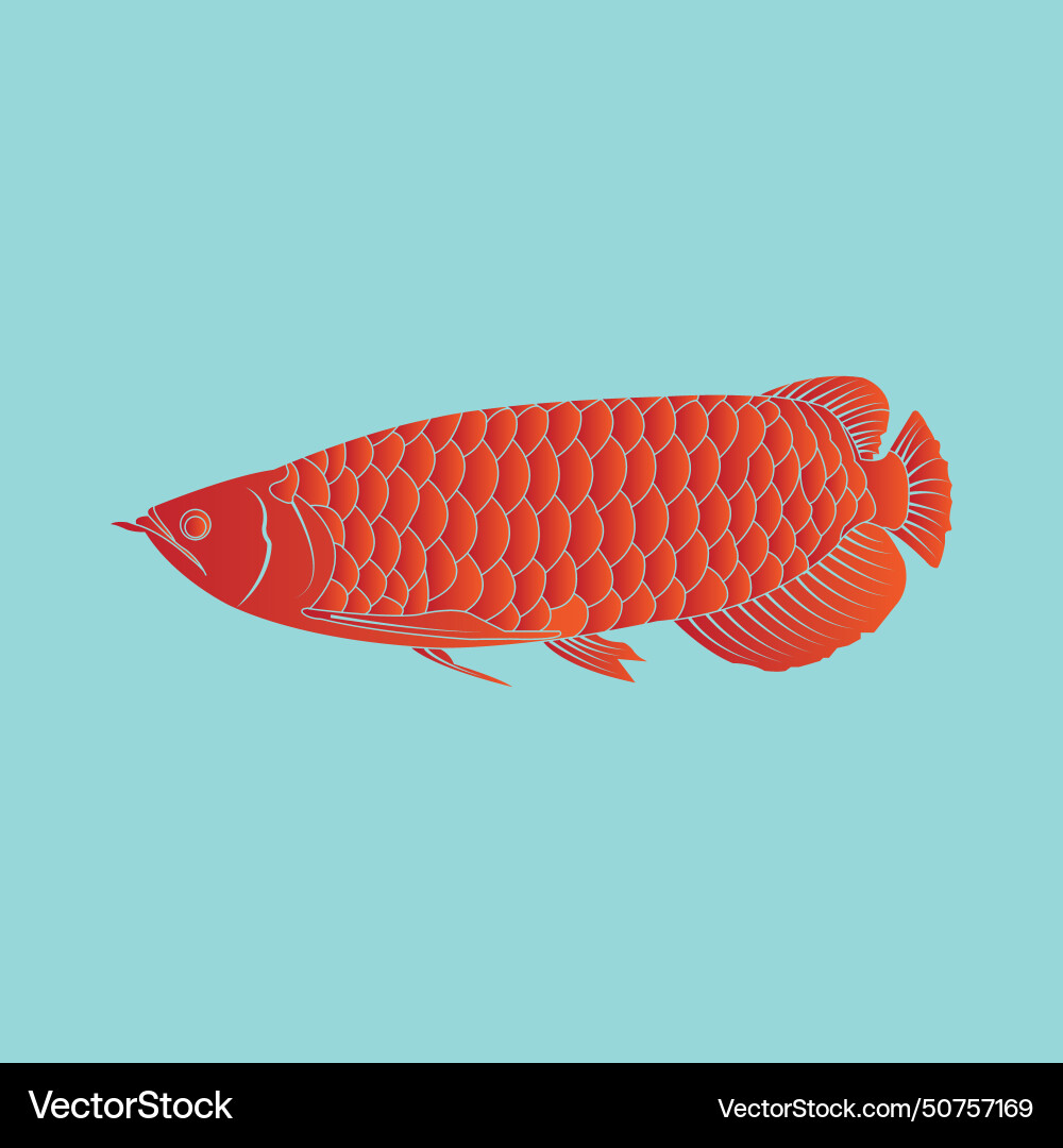 Arowana fish icon Royalty Free Vector Image - VectorStock
