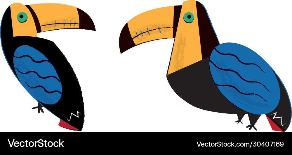 Tropical tucan birds Royalty Free Vector Image