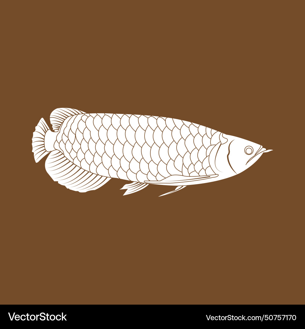 Arowana fish icon Royalty Free Vector Image - VectorStock