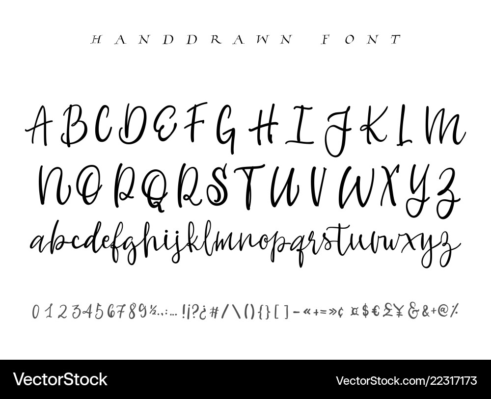 Modern calligraphy vintage handwritten font Vector Image