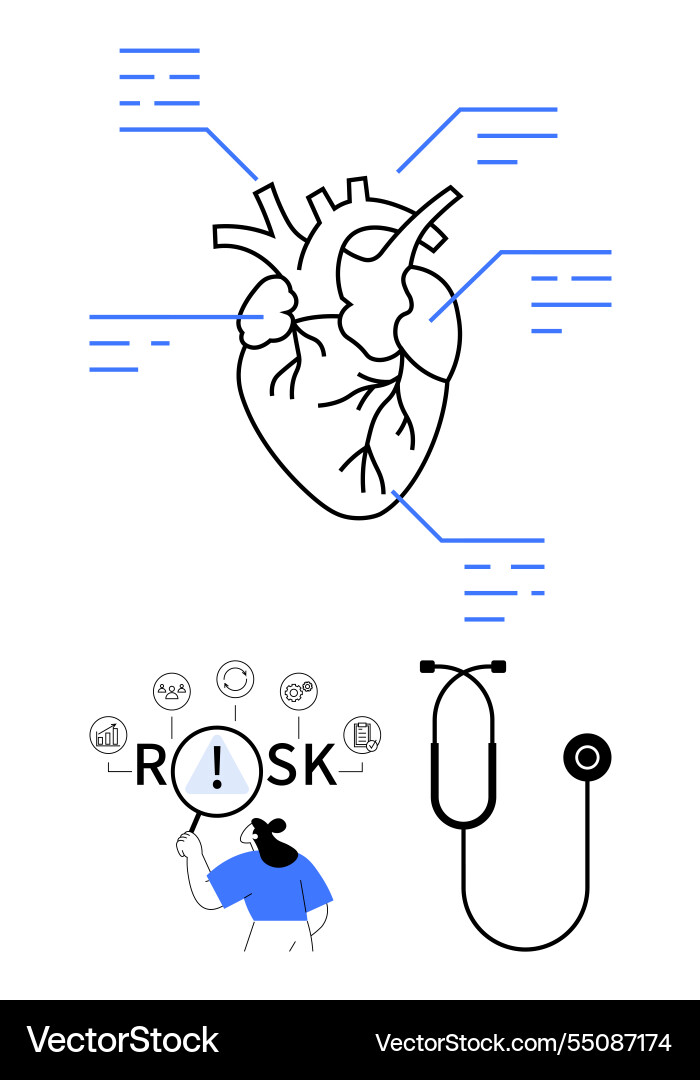 Human heart diagram with diagnostic indicators Vector Image