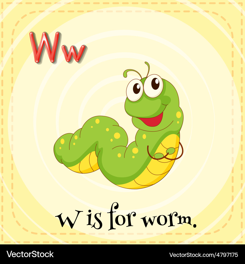 Letter w Royalty Free Vector Image - VectorStock