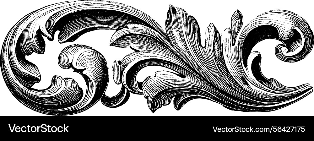 Ornate engraved decorative scroll design Vector Image
