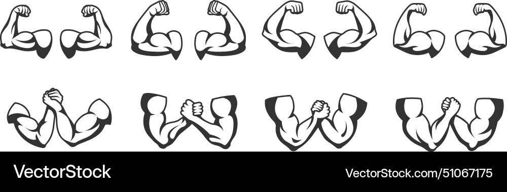 Strong arm muscles muscular arms flexing biceps Vector Image