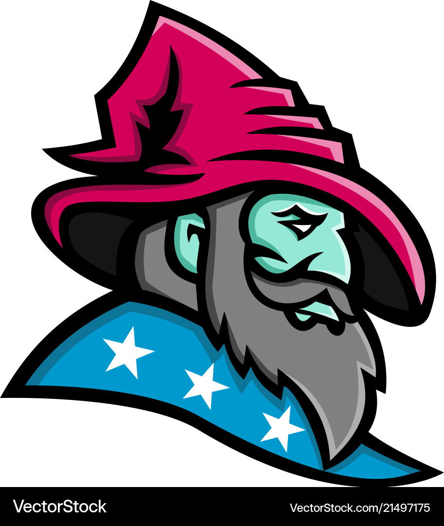 Wizard with stars mascot Royalty Free Vector Image