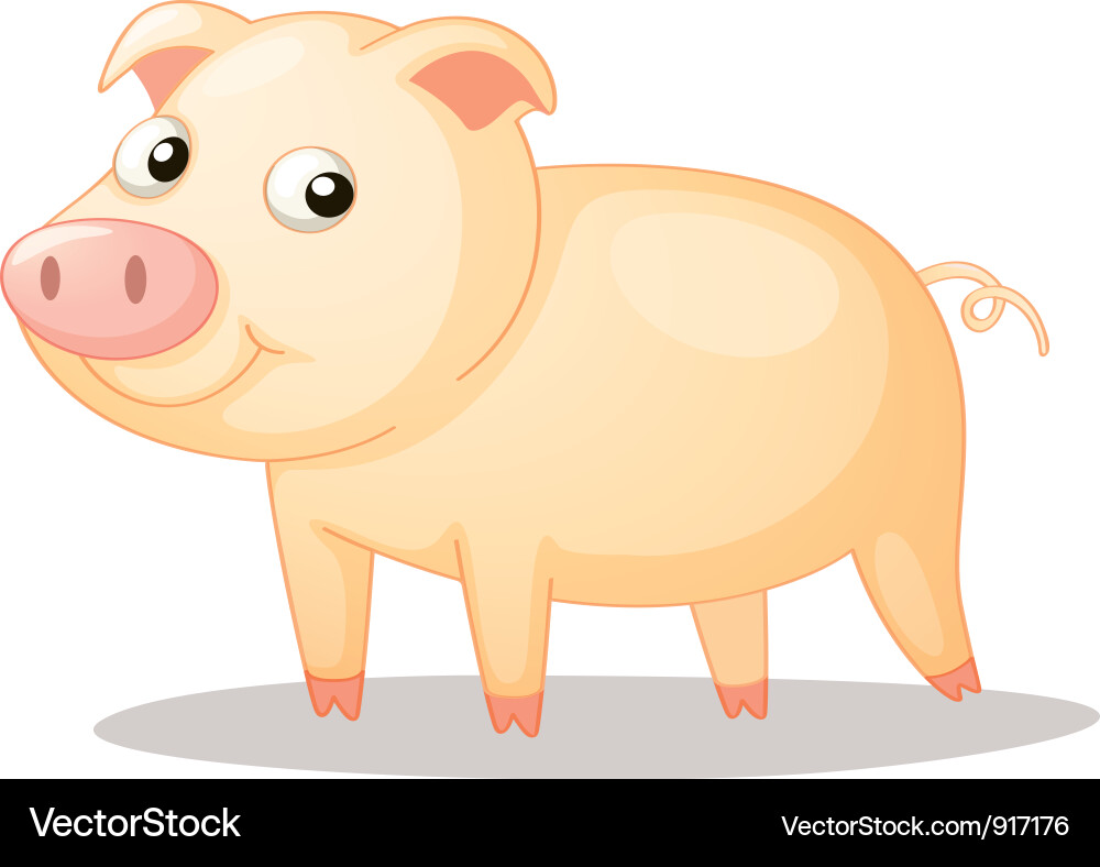 Piggy Royalty Free Vector Image - VectorStock