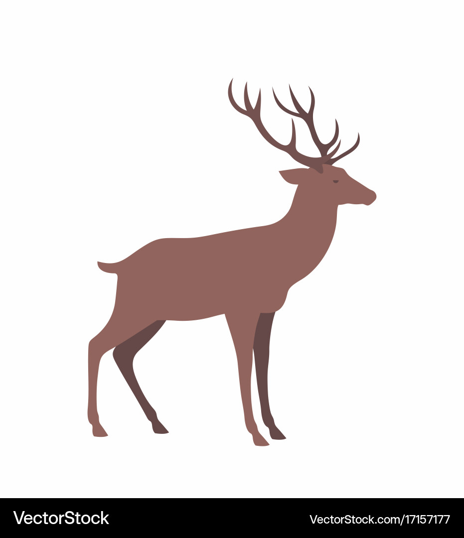 Deer Royalty Free Vector Image - VectorStock