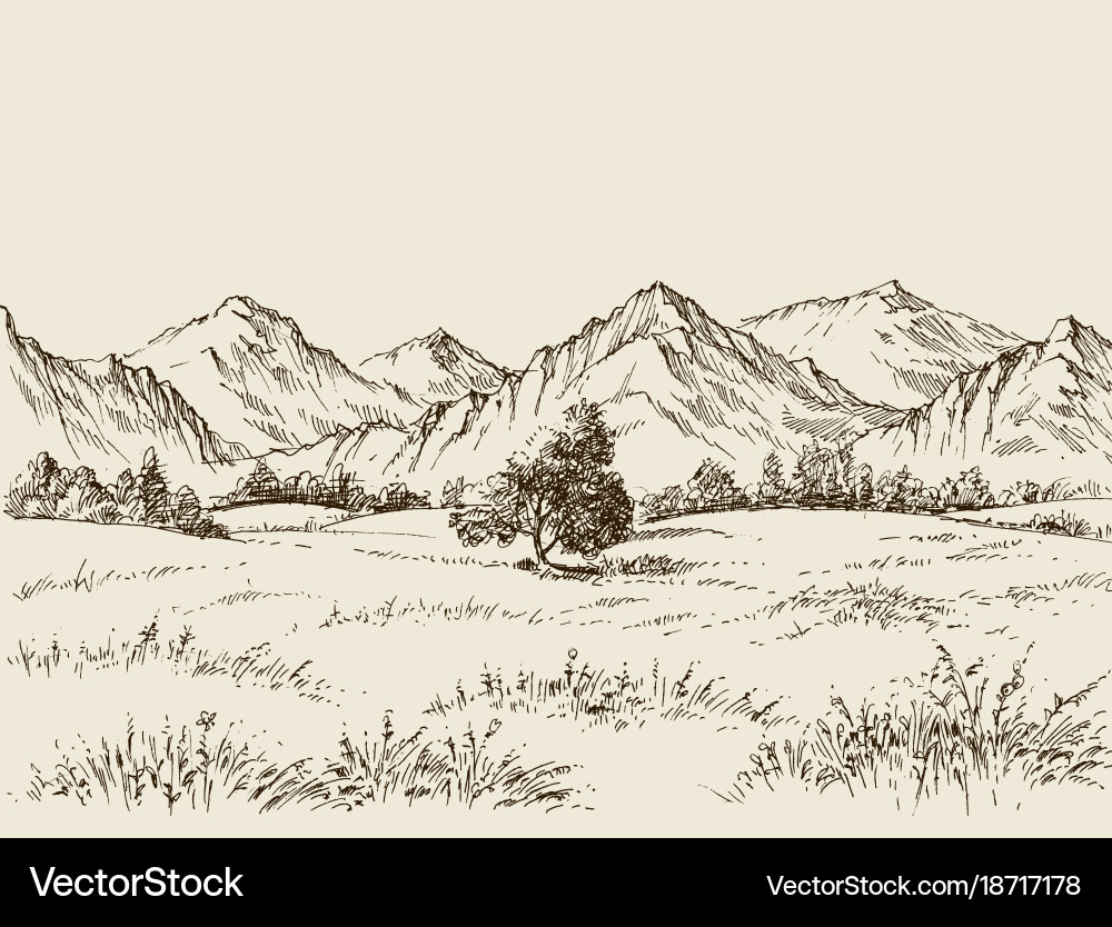 Cliff Drawing Line Vector Images (over 1,000)