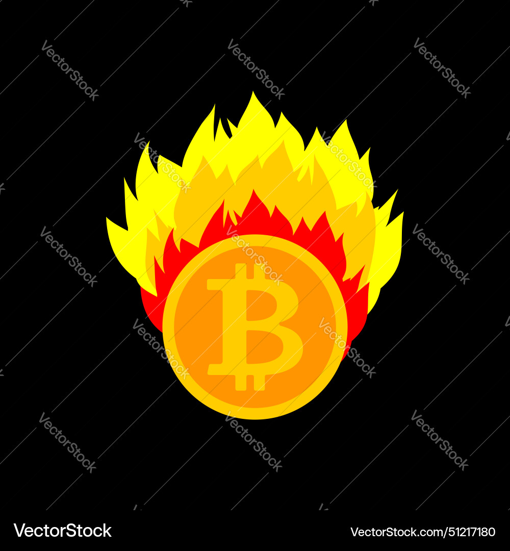 Bitcoin burning coins tokens Royalty Free Vector Image
