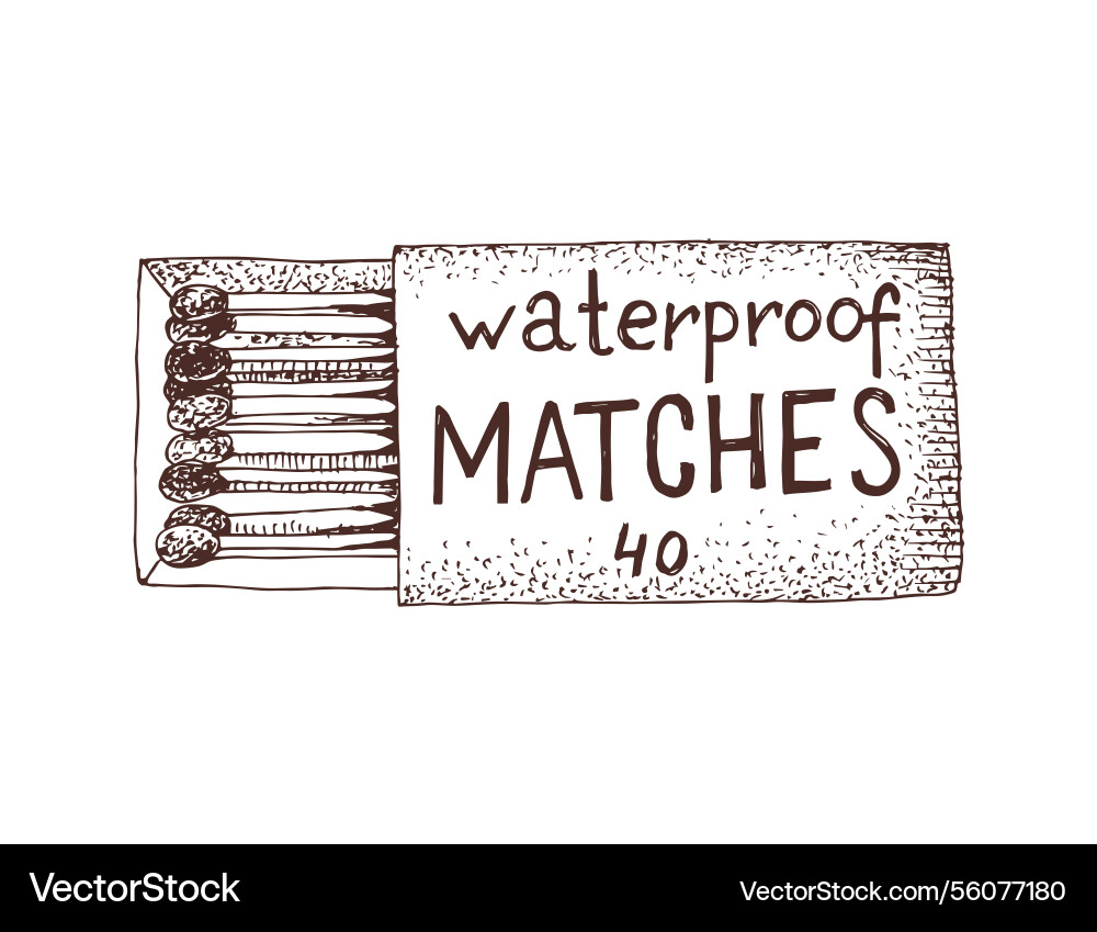 Matches in an open matchbox hand drawn Royalty Free Vector