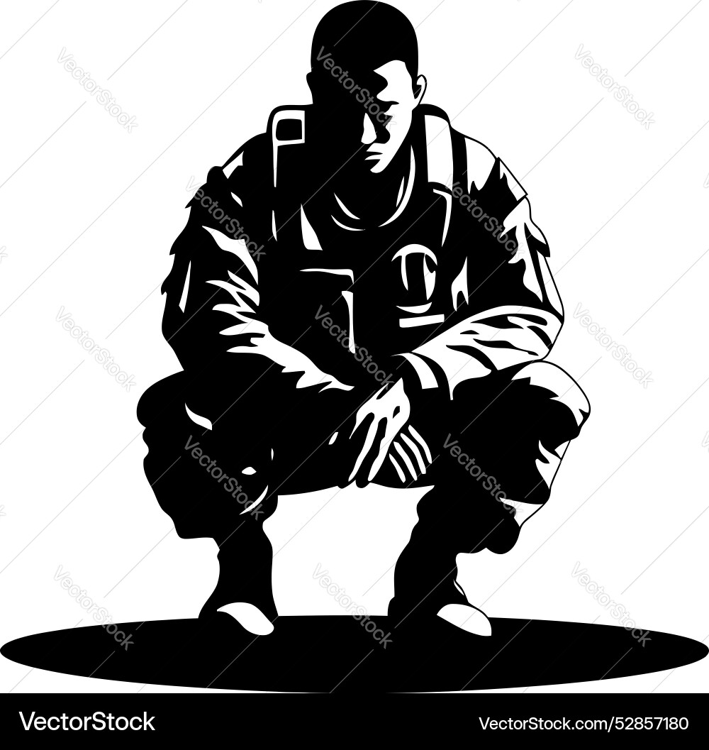 Sentinel salute kneeling soldier icon design Vector Image
