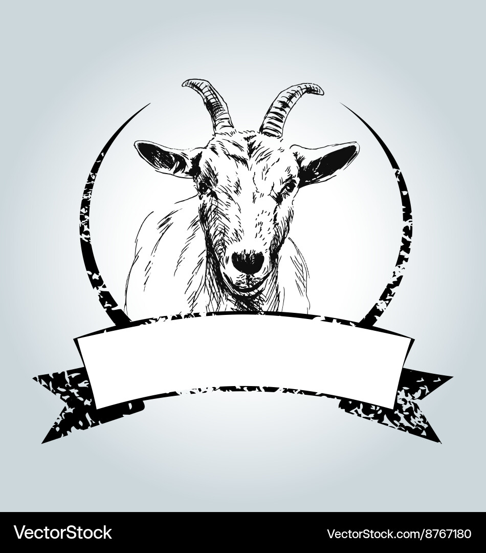 Vintage label with drawing goat Royalty Free Vector Image