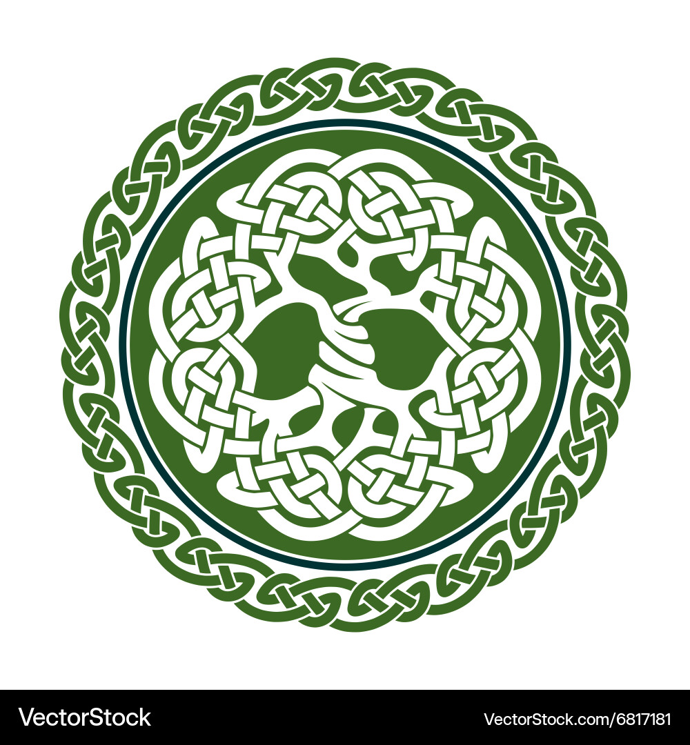 Celtic tree of life Royalty Free Vector Image - VectorStock