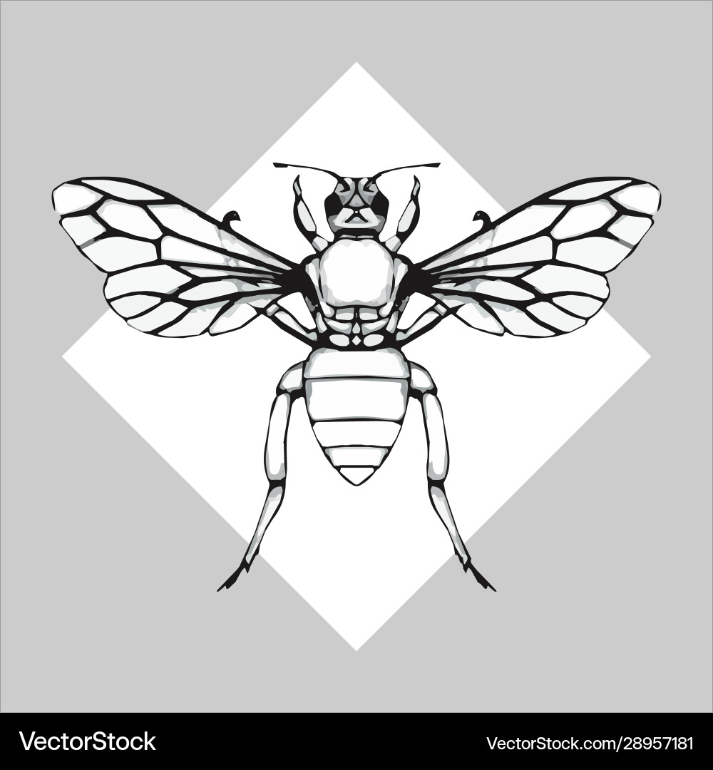 Orchid bee drawing Royalty Free Vector Image - VectorStock