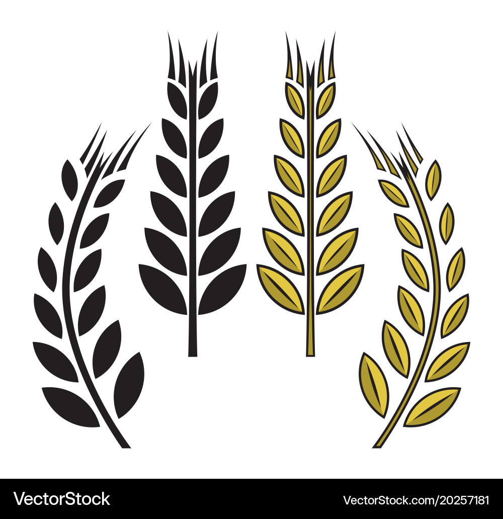 Wheat Royalty Free Vector Image - VectorStock
