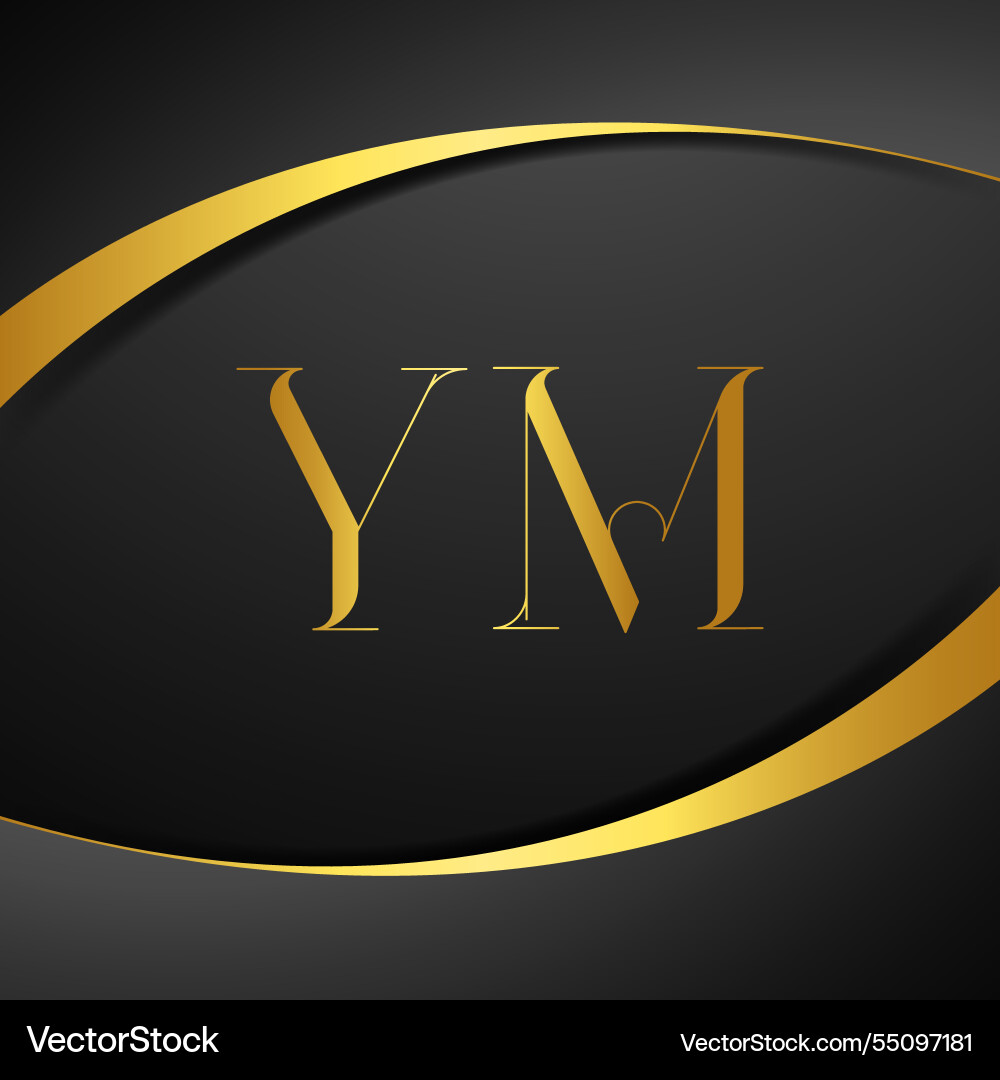 Ym luxury letter logo Royalty Free Vector Image