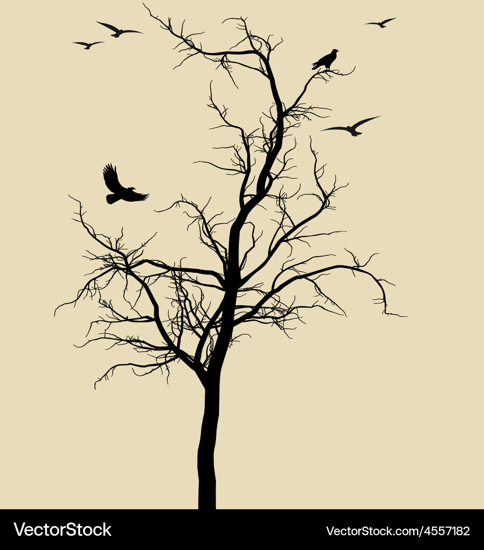 Black tree with birds Royalty Free Vector Image