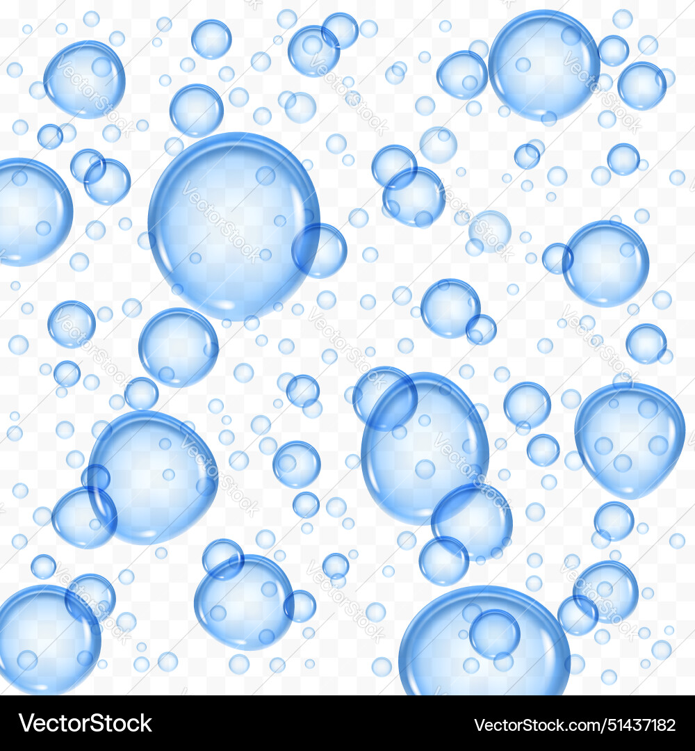 Water drops and bubbles Royalty Free Vector Image
