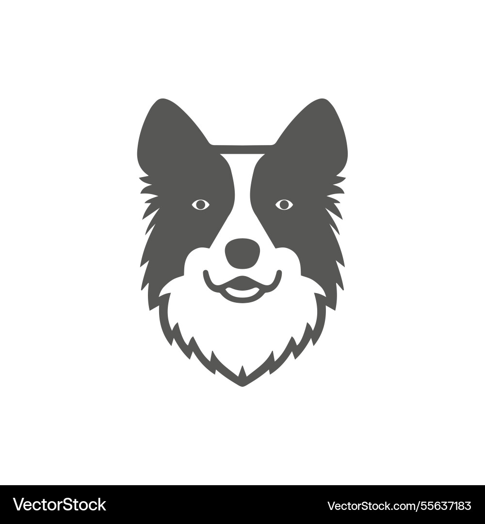 Border collie Royalty Free Vector Image - VectorStock