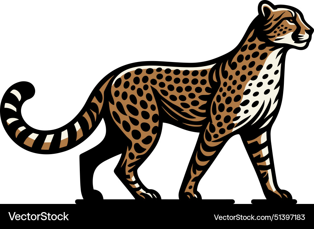 Tiger logo head tiger logo tiger standing tiger Vector Image