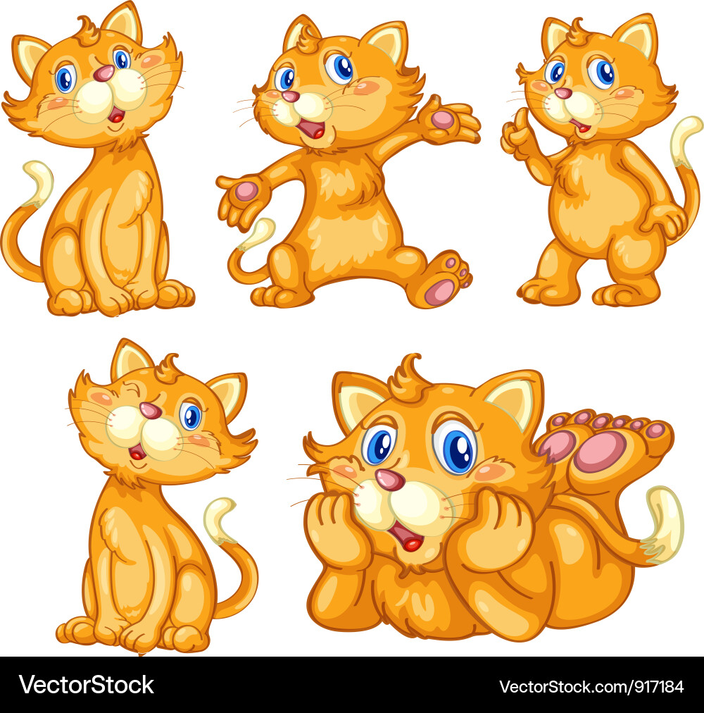 Cat set Royalty Free Vector Image - VectorStock