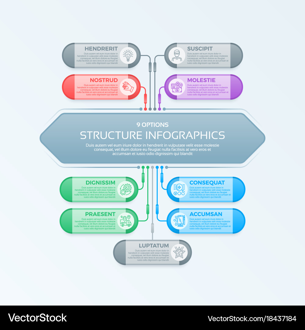 Infographics template with 9 structure elements Vector Image