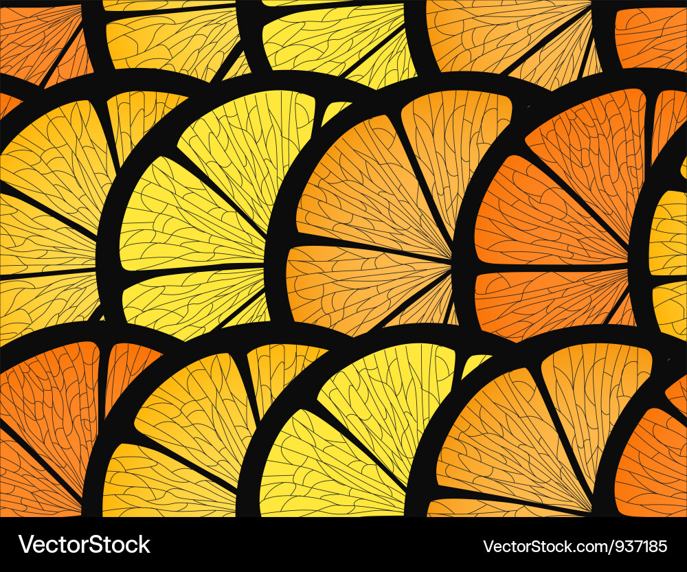 Citrus pieces background Royalty Free Vector Image