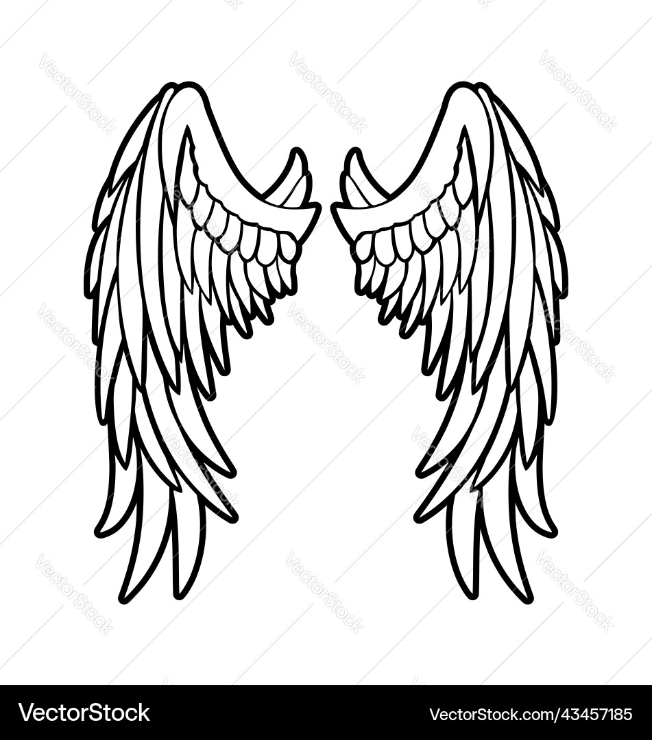 Folded Angel Wings Vector