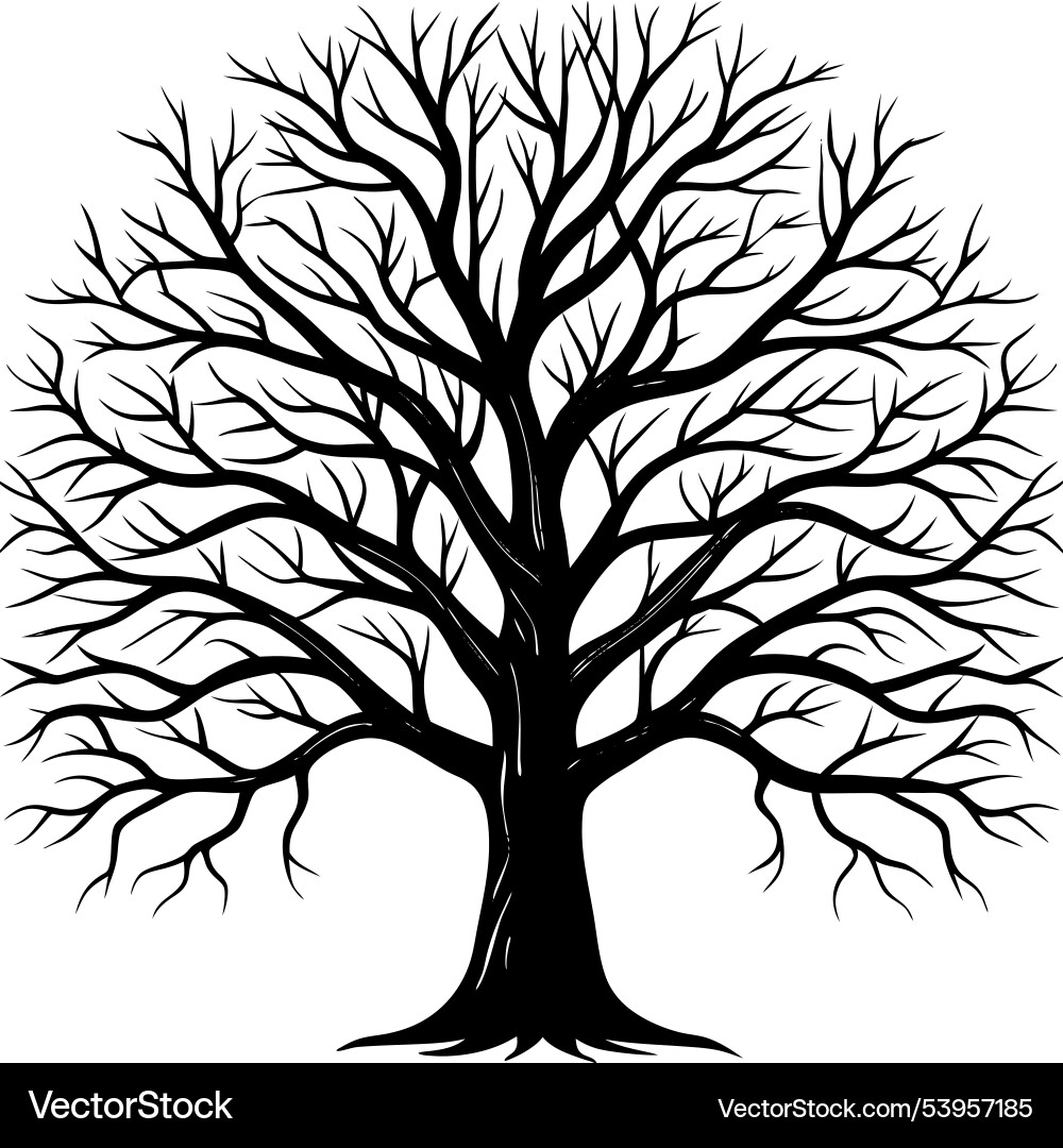 Leafless black tree Royalty Free Vector Image - VectorStock