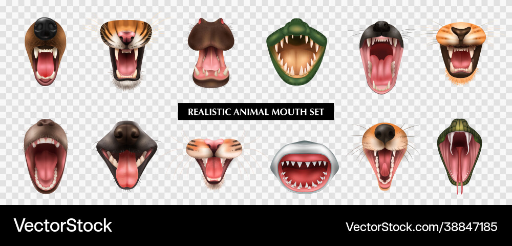 Realistic animal mouths set Royalty Free Vector Image