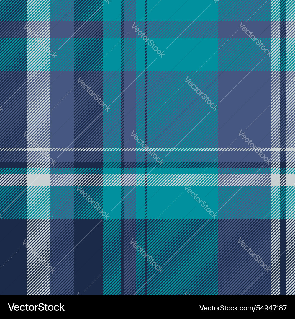 France texture plaid textile direct check fabric Vector Image