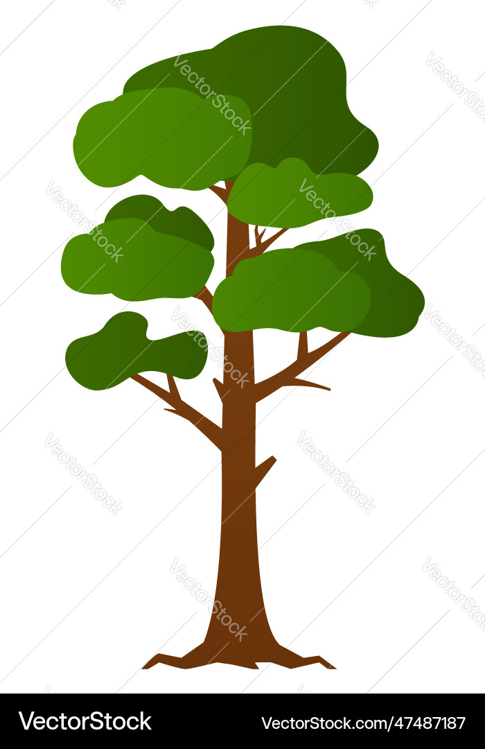 Tall deciduous tree - modern flat design style Vector Image
