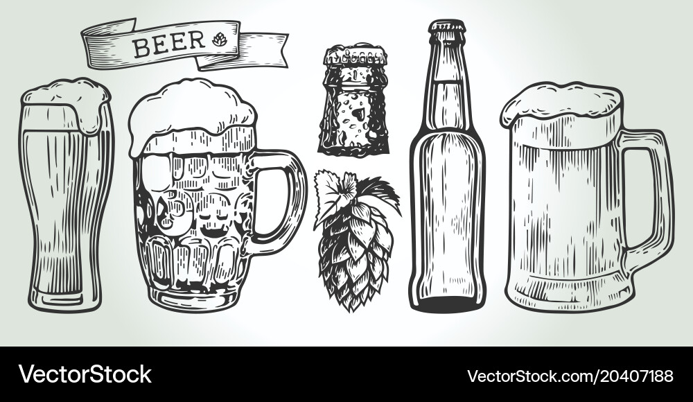 Beer set engraving Royalty Free Vector Image - VectorStock