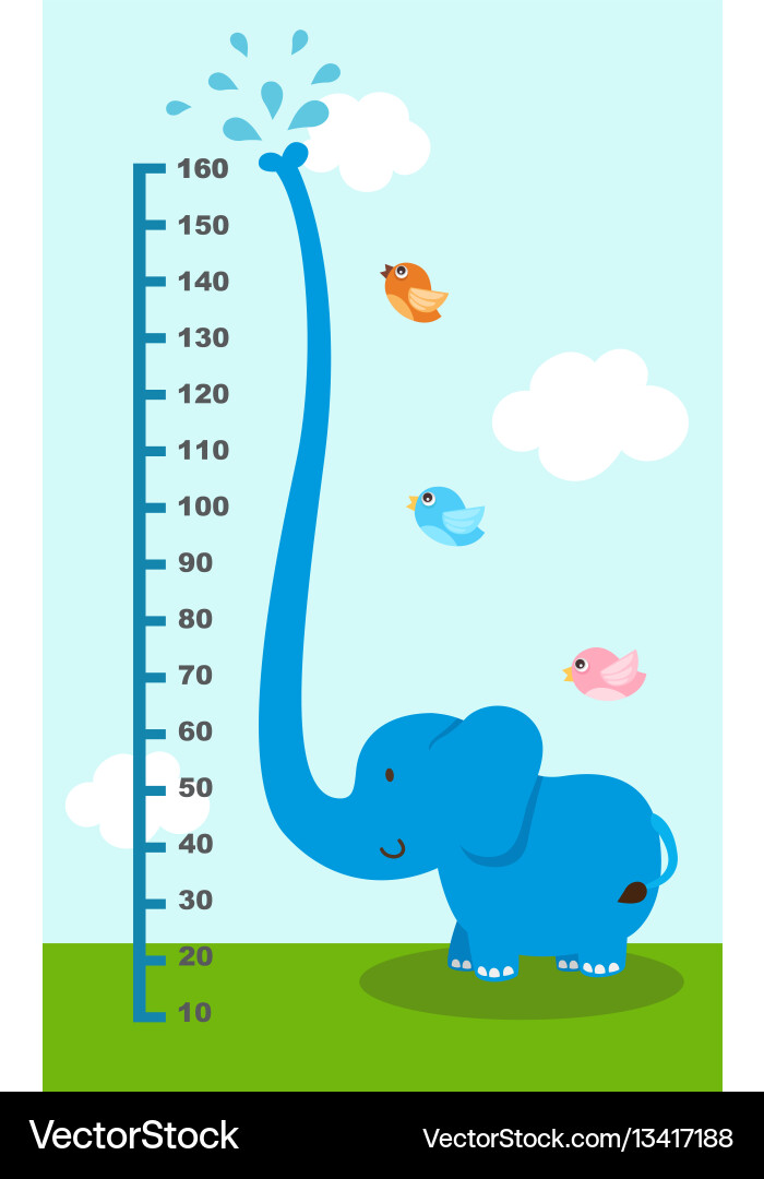 Elephant Height Meter Royalty Free Vector Image