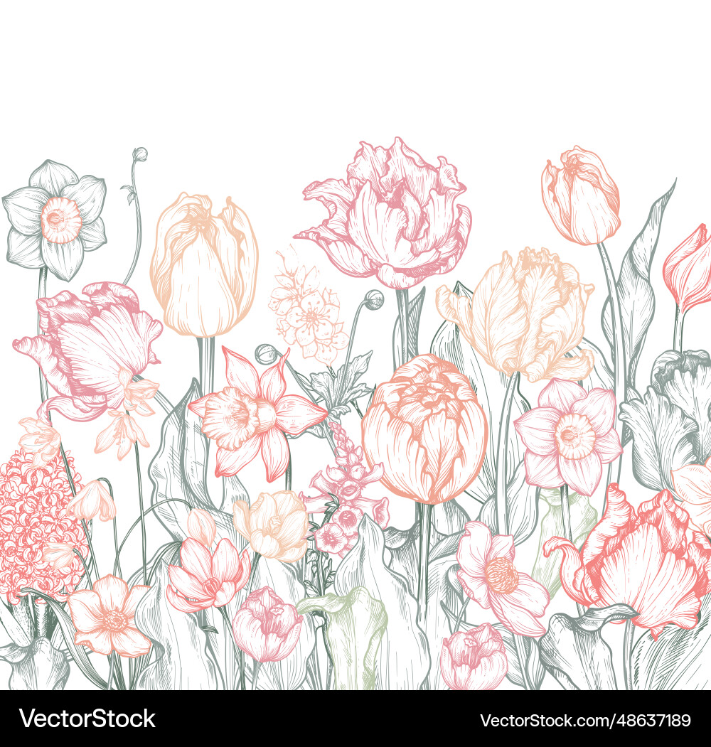 Background with beautiful spring flowers Vector Image