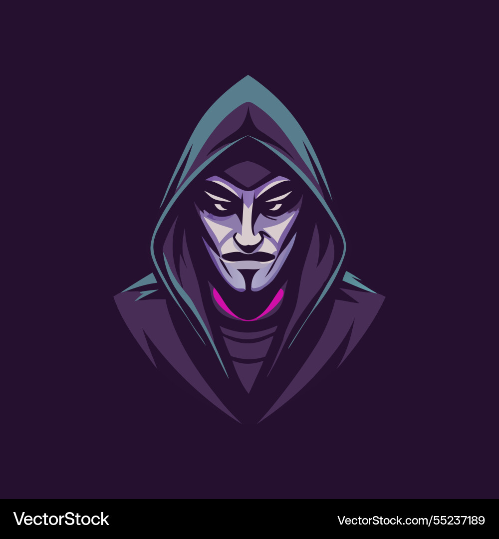 Hacker Royalty Free Vector Image - VectorStock