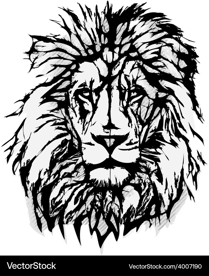 Lion Scratch Vector Images (over 970)