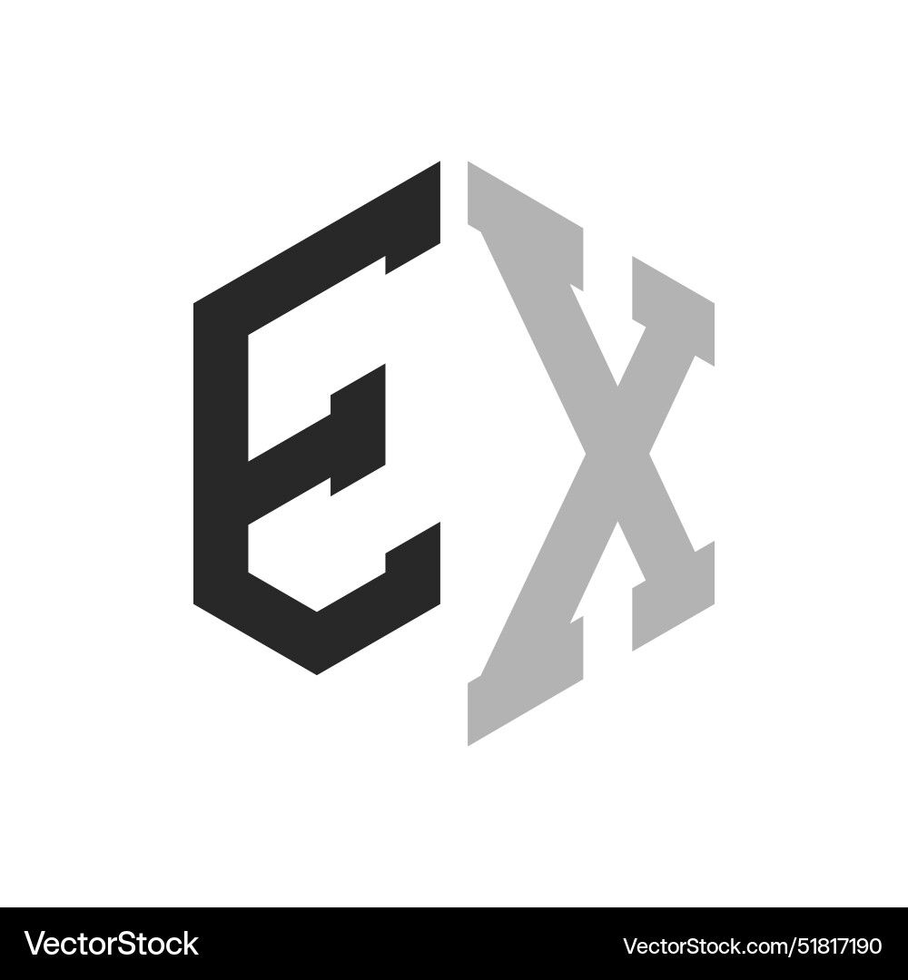 Modern unique hexagon letter ex logo design Vector Image