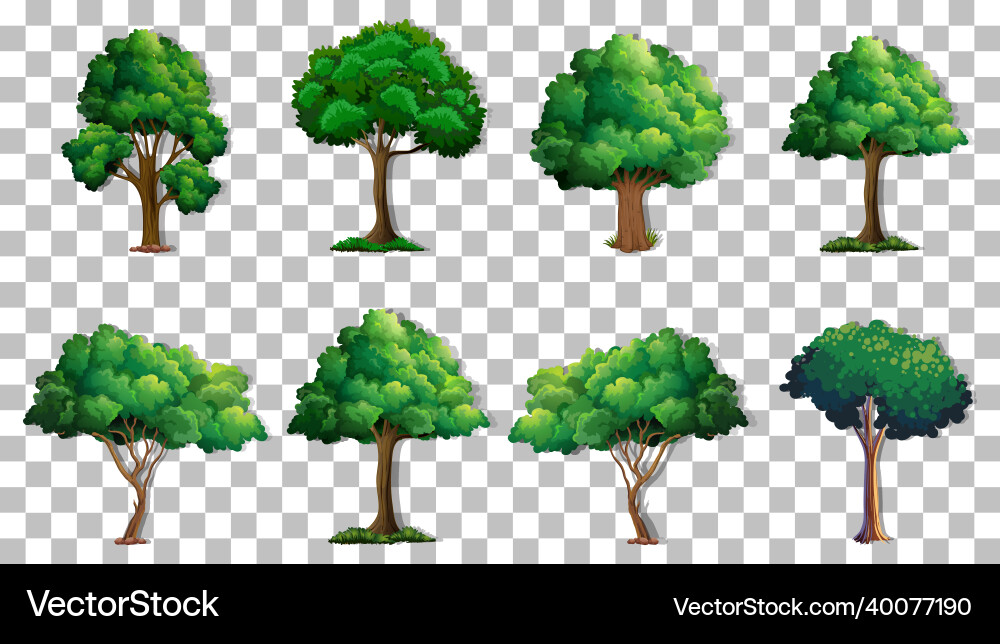 Set of variety trees on transparent background Vector Image