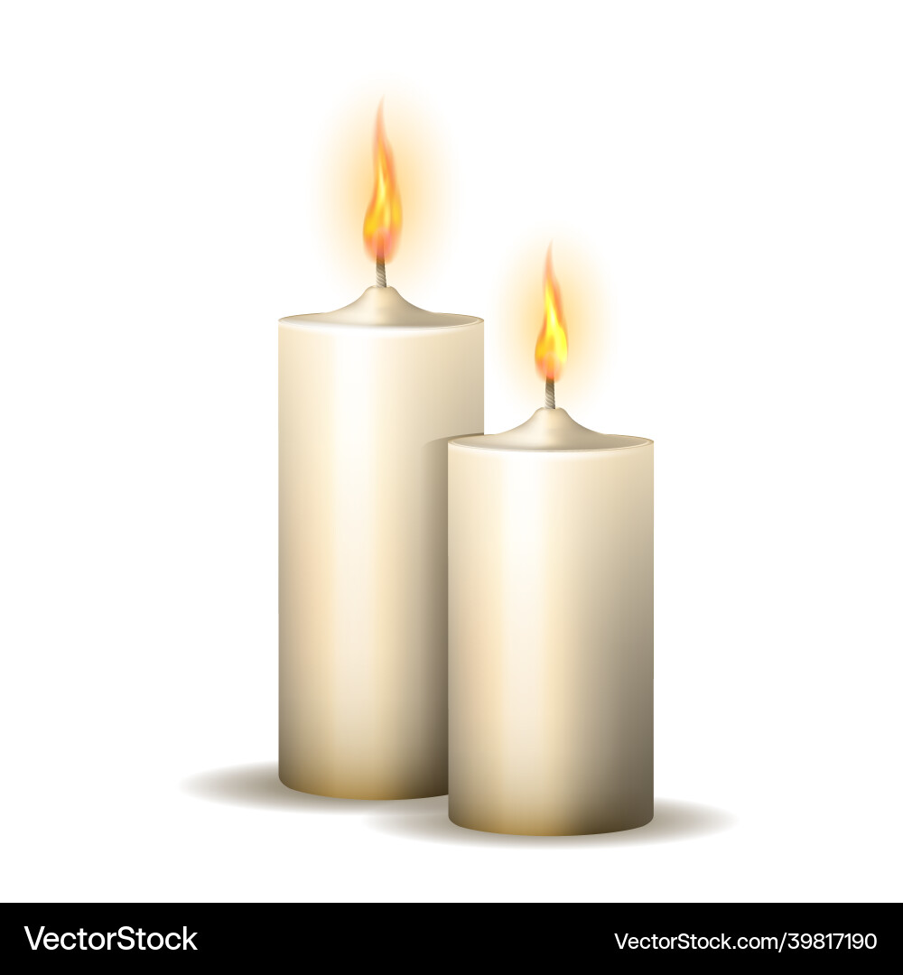 Two realistic burning candles isolated on white Vector Image