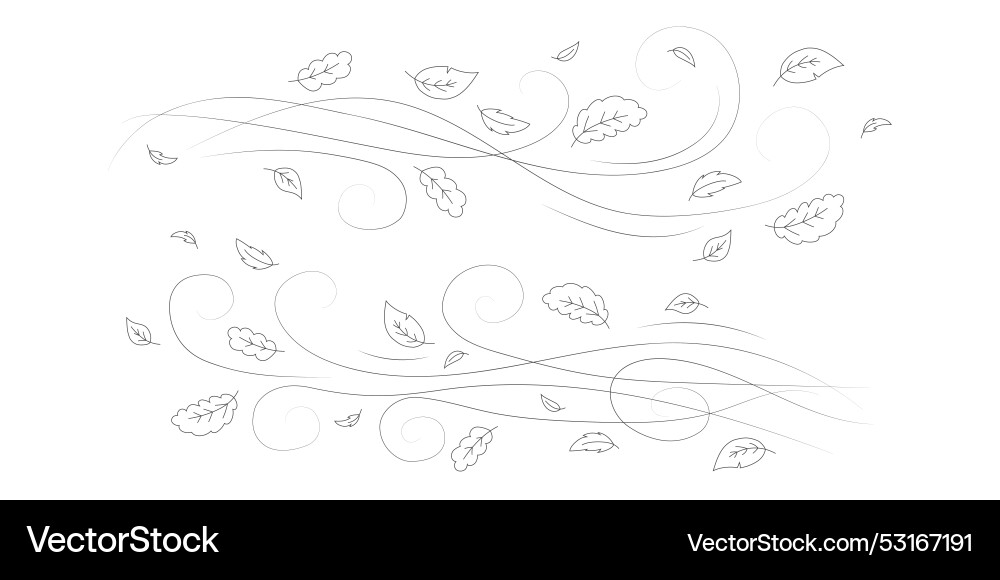 Doodle autumn leaves flying in the wind falling Vector Image