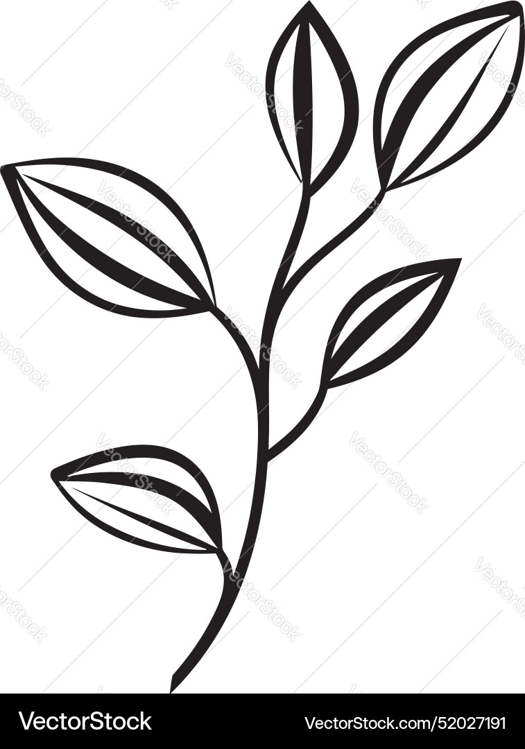 Leafy lines plant leaves badge icon botanic Vector Image