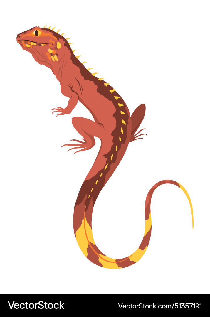 Lizard icon tropical colorful decorative Vector Image