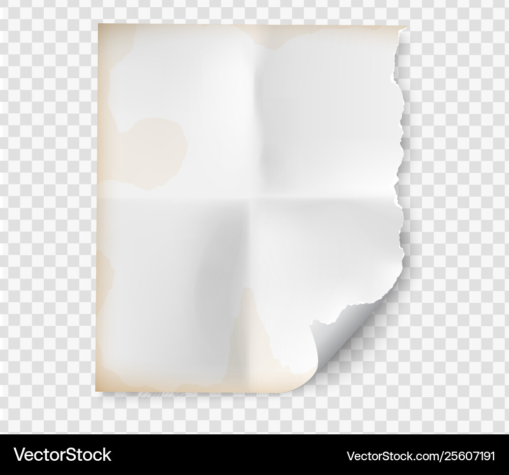 Page curl with shadow on blank sheet paper Vector Image