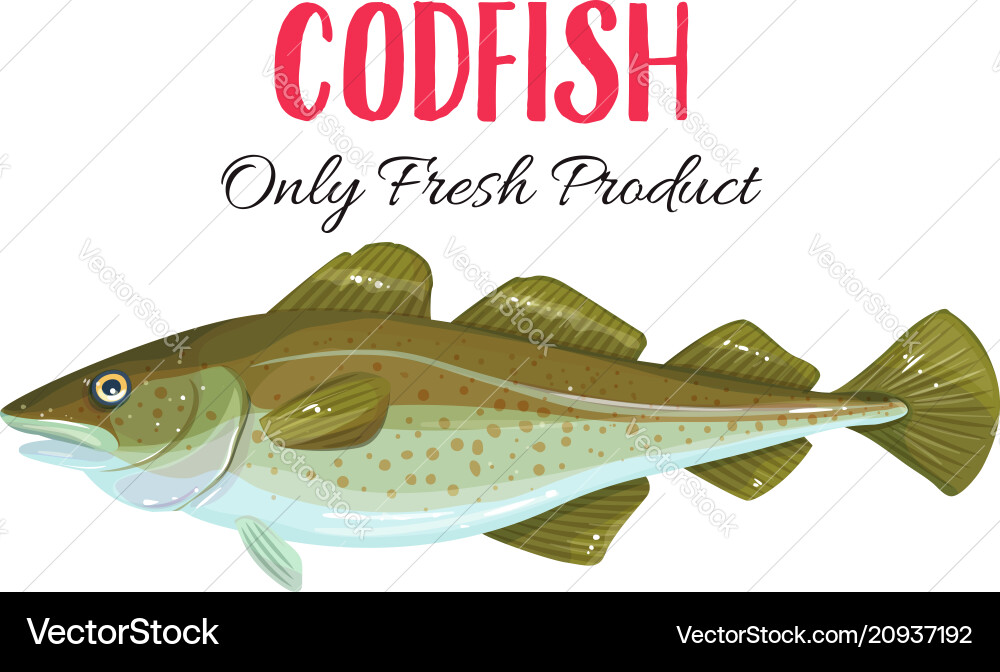 Codfish Royalty Free Vector Image - VectorStock