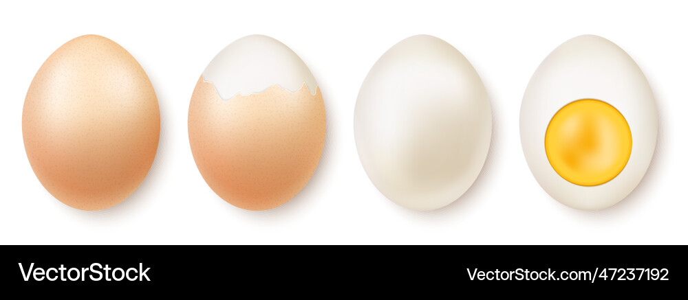 Farm egg realistic set Royalty Free Vector Image