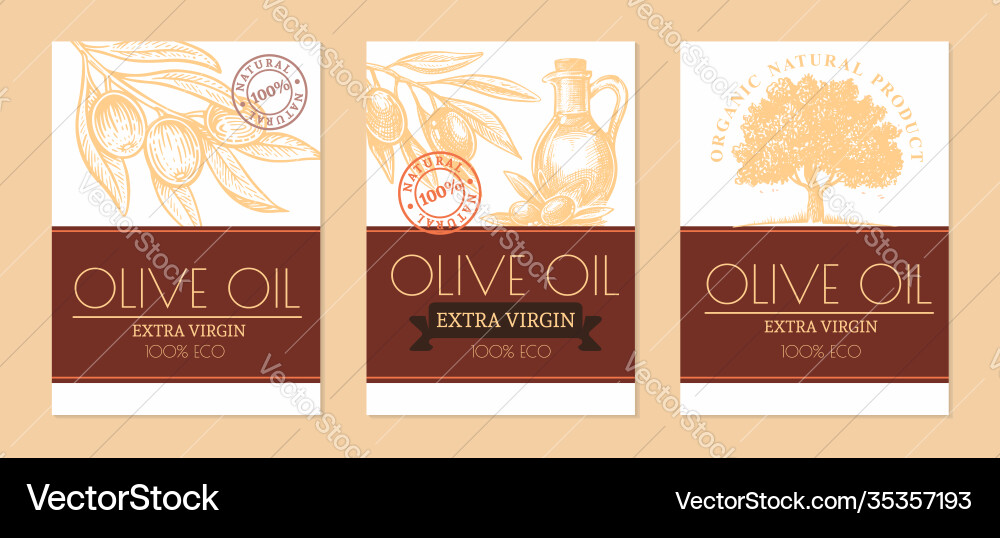 Olive oil sample label on bottle with tree Vector Image